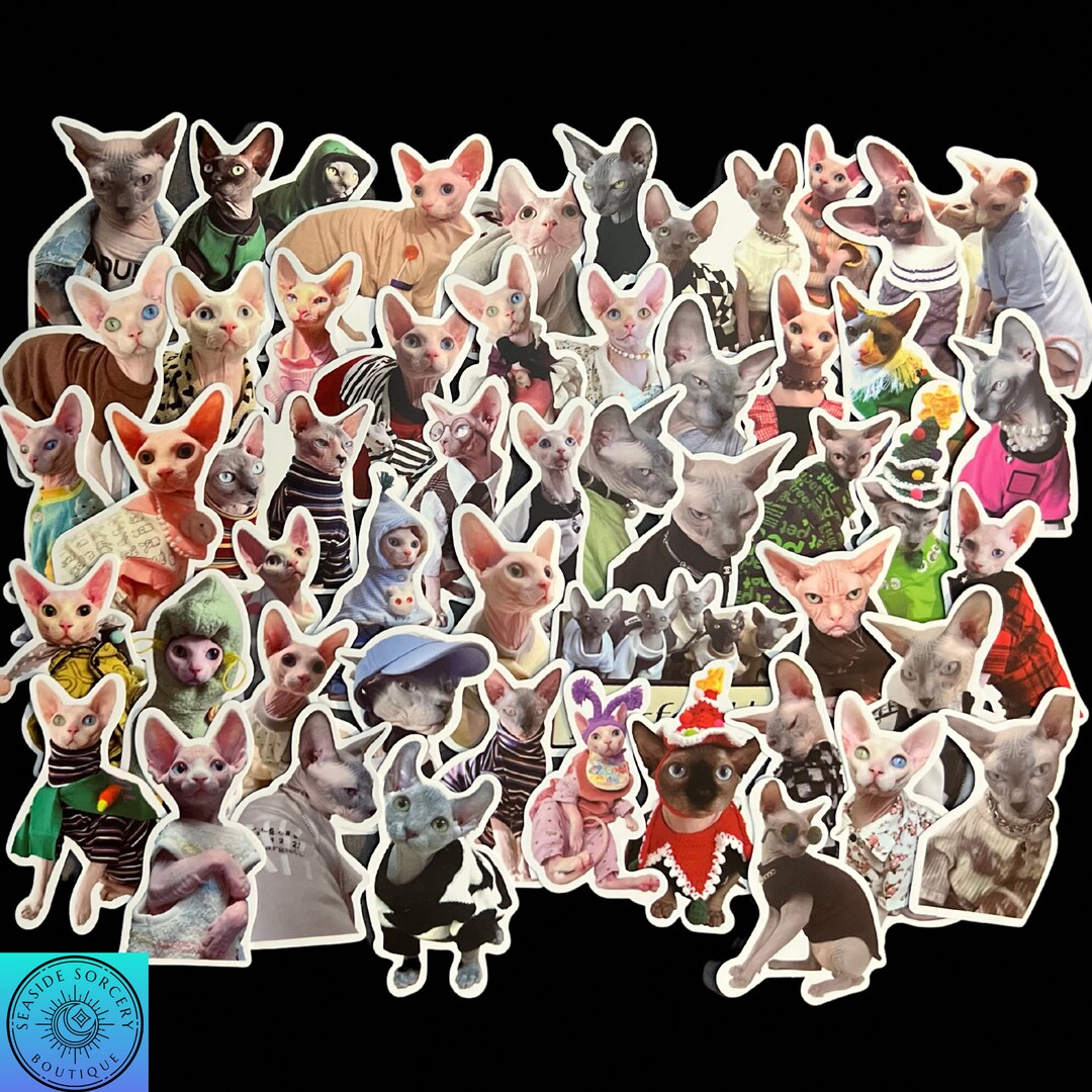 Sphynx Cat Stickers, Hairless Cats, Sphynx Lovers, Random Sticker Packs ...