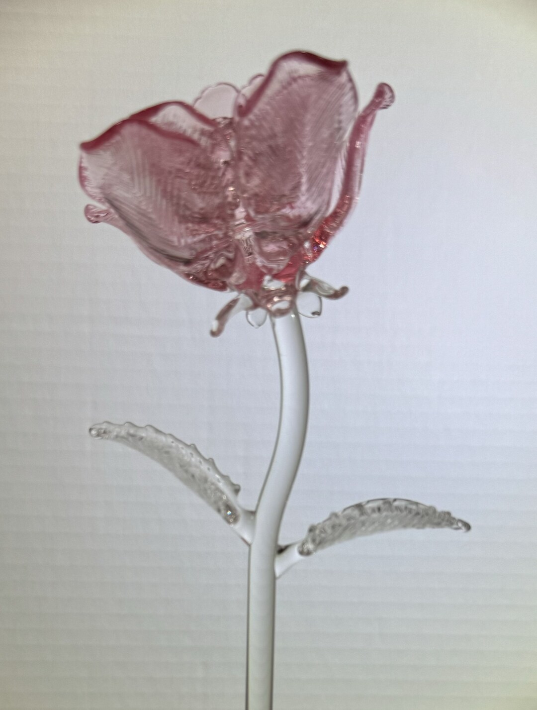 Waterford Long Stem Crystal Pink Rose - Etsy