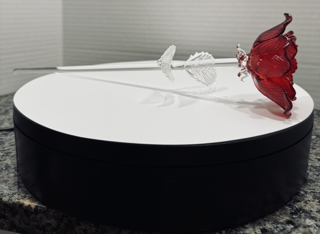 Waterford Long Stem Crystal Red Rose - Etsy