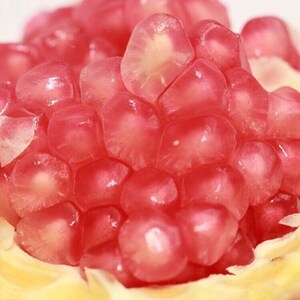 Usa-seller 50pcs Bonsai Pomegranate Seeds Very Sweet Fruit - Etsy