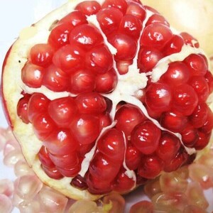 Usa-seller 50pcs Bonsai Pomegranate Seeds Very Sweet Fruit - Etsy