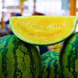 25 Seeds Watermelon Yellow Rare Vegetable Planting Organic Heirloom ...