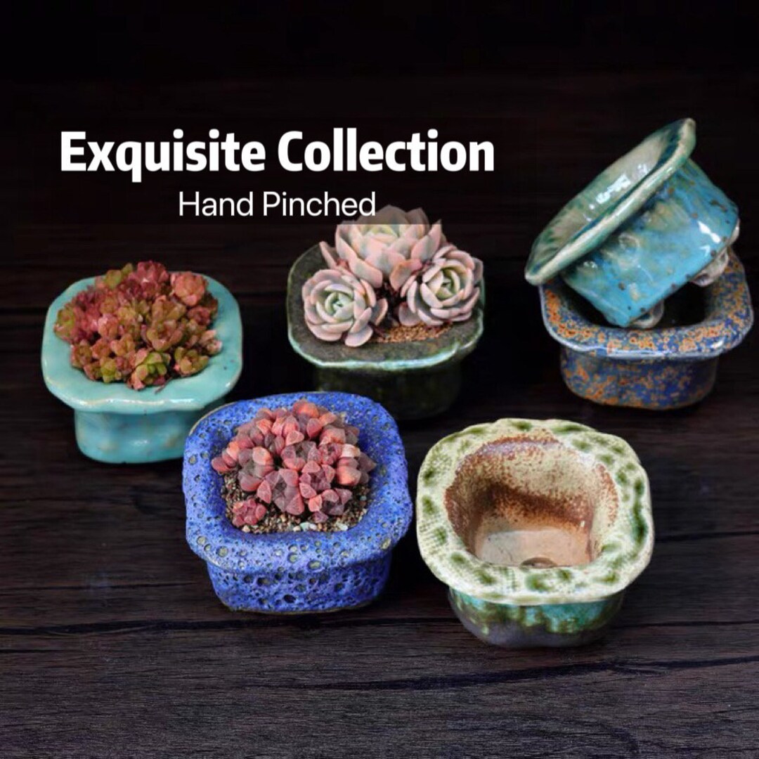 Exquisite Hand Pinched Planter, Mini Succulent Flower Pot, Ceramic Mini ...