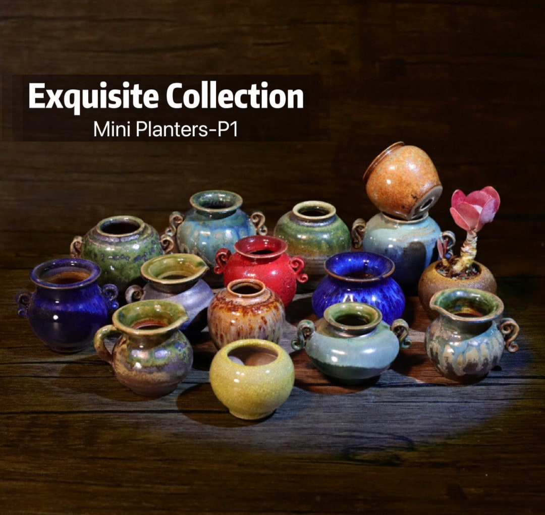 Exquisite Collection Mini Planter, Mini Succulent Flower Pot, Ceramic ...