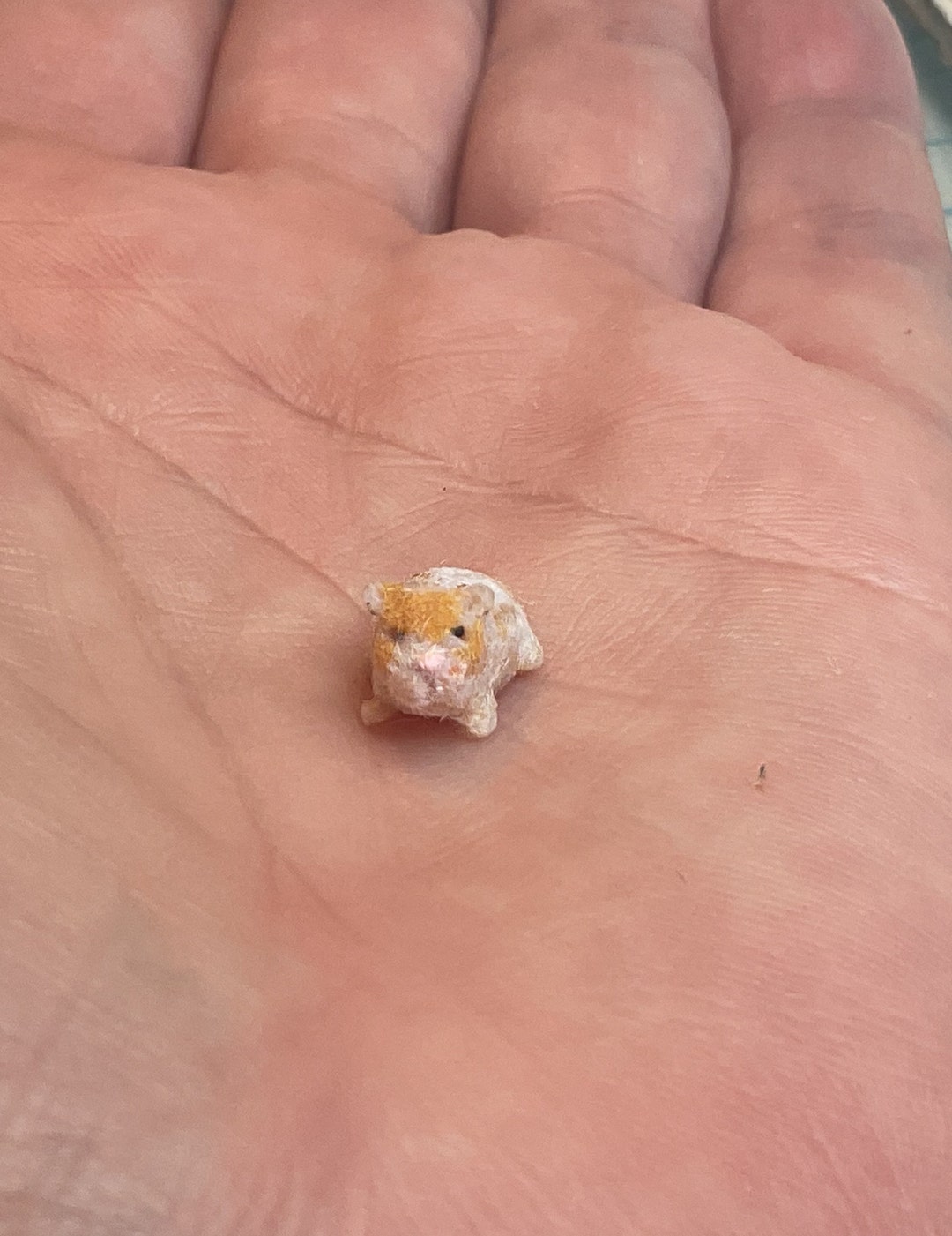 Miniature Micro Hamster Custom Made for You - Etsy