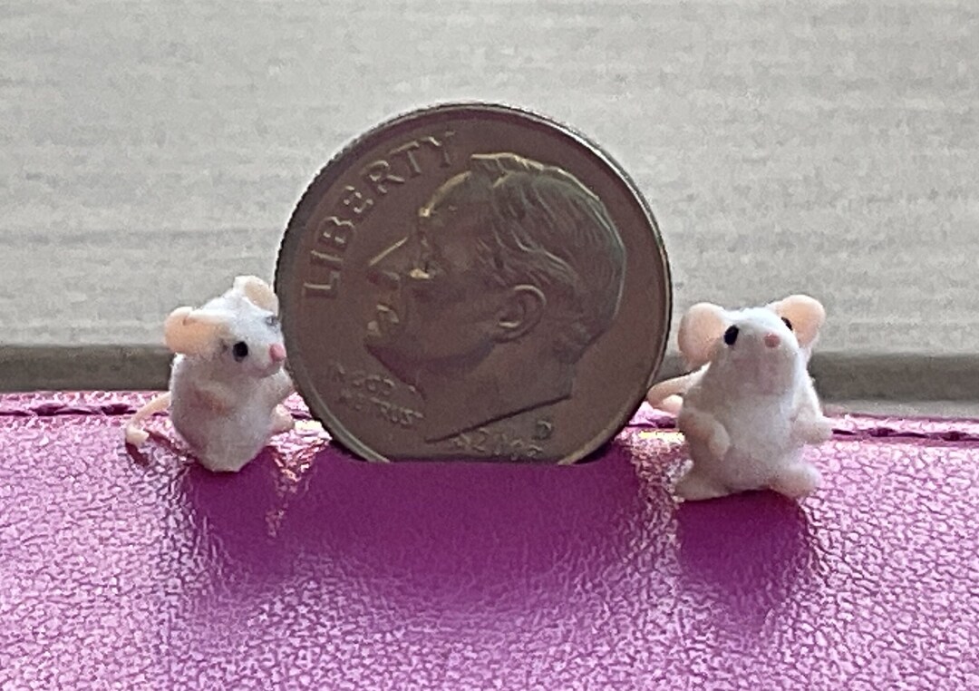 Miniature Micro Tiny Mouse Fuzzy Fur Custom Made Pick You Color Micro ...