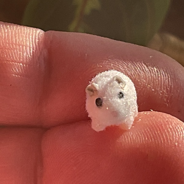 Miniature Hamster - Etsy