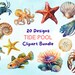 20 Ocean Animal Clipart Tide Pool Clipart Watercolor Ocean - Etsy