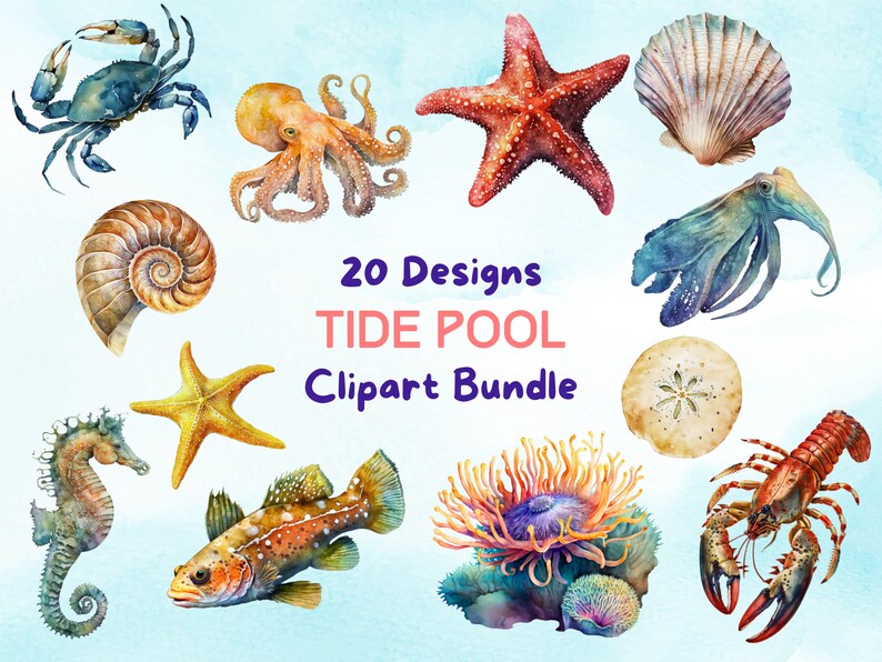 20 Ocean Animal Clipart Tide Pool Clipart Watercolor Ocean - Etsy