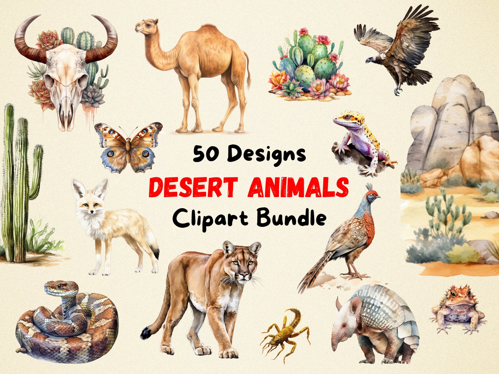 50 Desert Animals Clipart Bundle Watercolor Desert Clip Art - Etsy