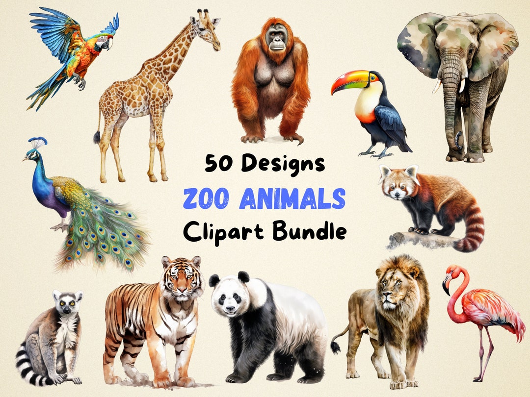50 Zoo Animals Clipart Bundle Watercolor Animal Clip Art - Etsy Australia