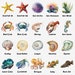 20 Ocean Animal Clipart Tide Pool Clipart Watercolor Ocean - Etsy