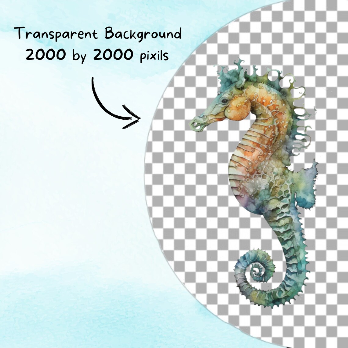 20 Ocean Animal Clipart Tide Pool Clipart Watercolor Ocean - Etsy