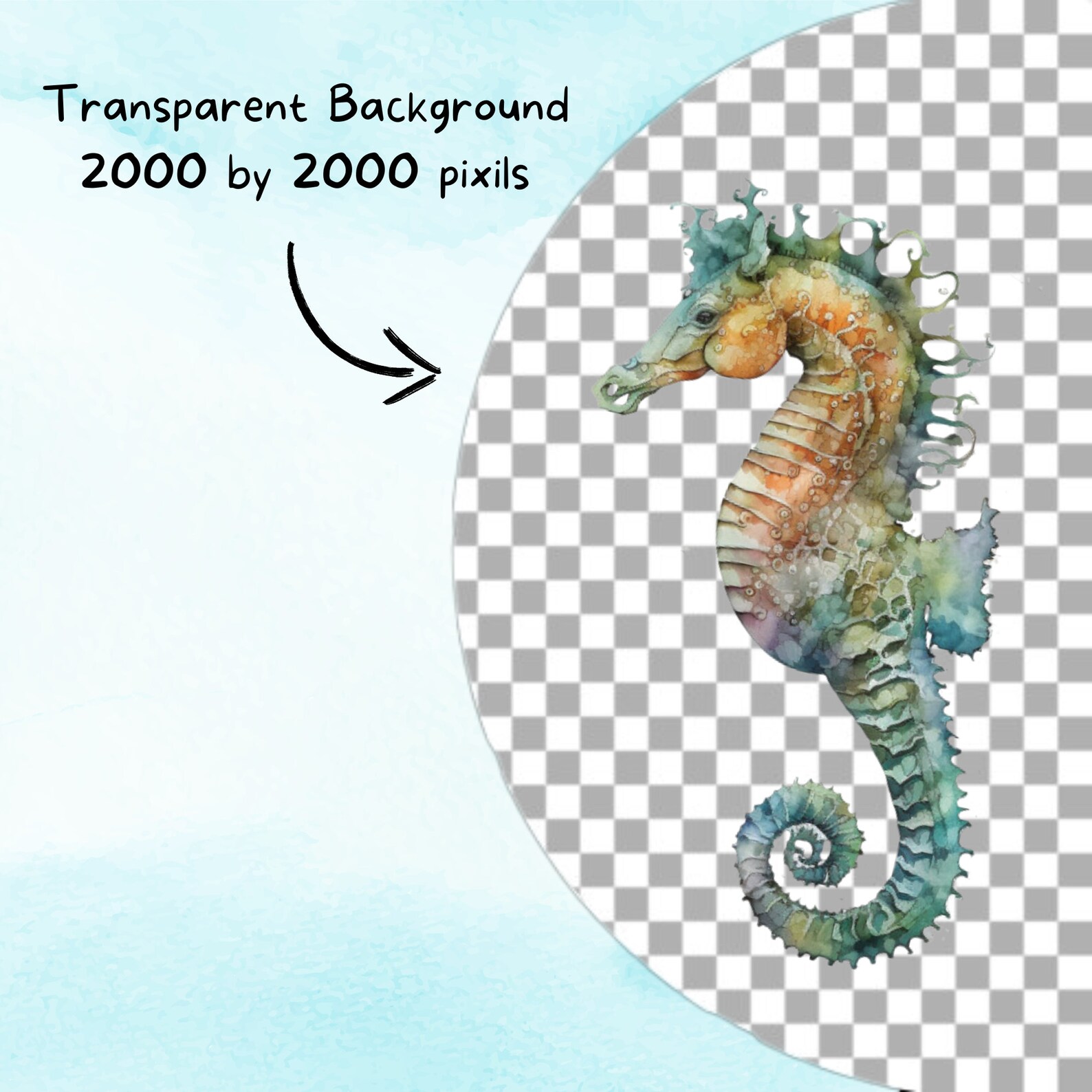 20 Ocean Animal Clipart Tide Pool Clipart Watercolor Ocean - Etsy