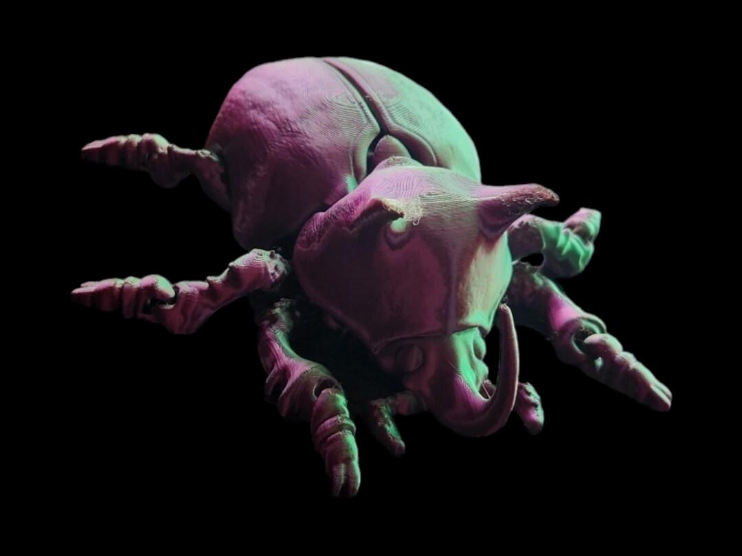 Rhinoceros Beetle Fidget Toy - Stress Relief Sensory Toy for ADHD and ...