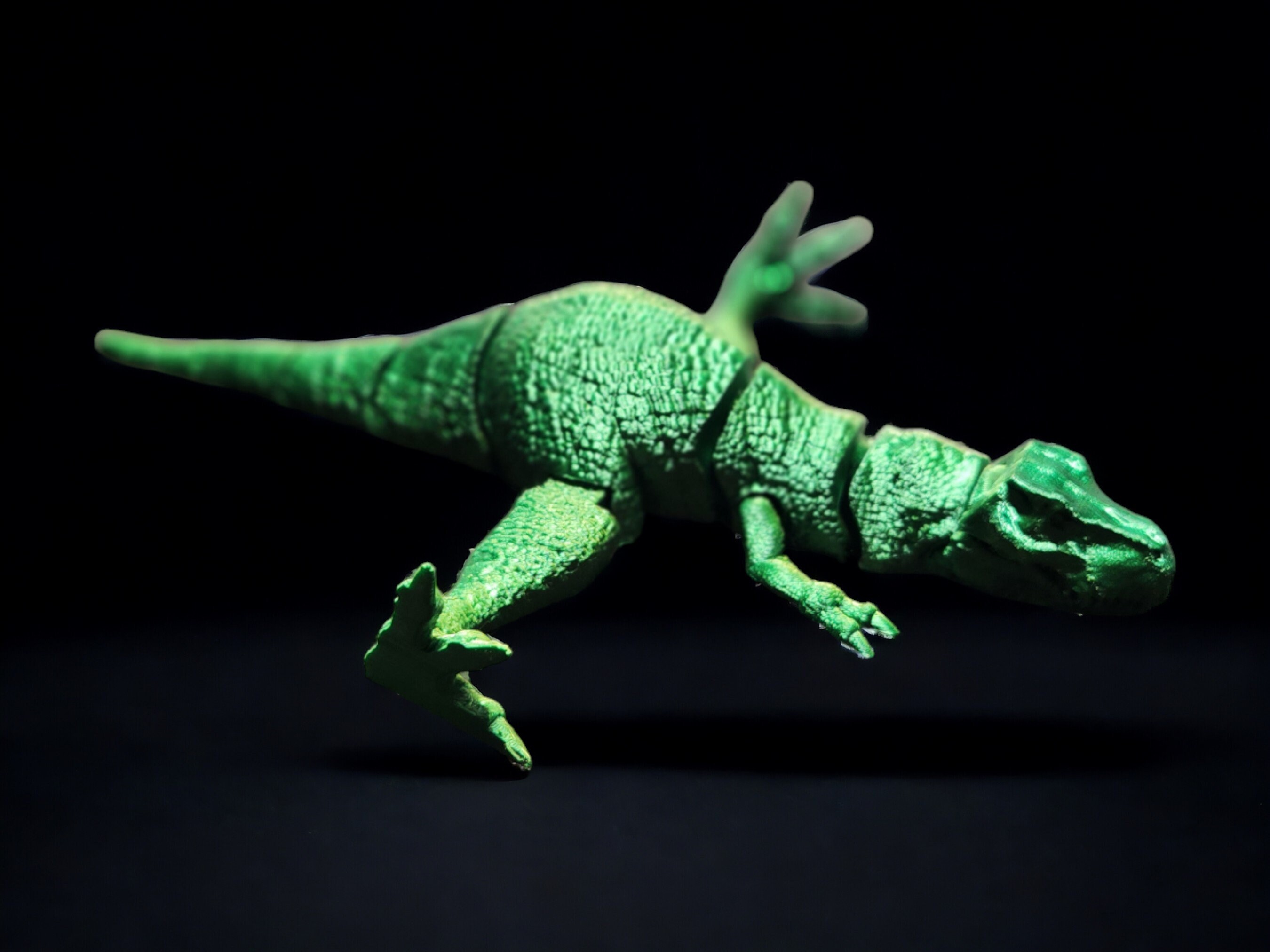 Flexible T-rex Fidget Sensory Tactile Toy for ADHD, Autism and Stress ...