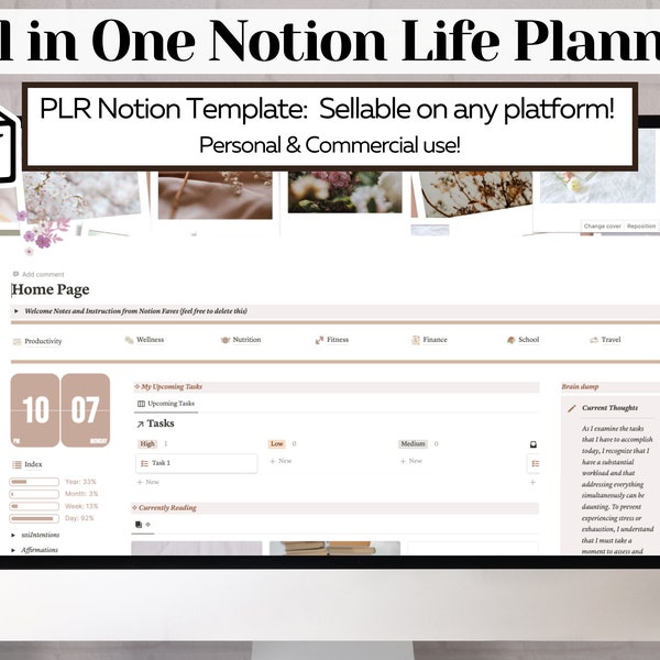 Plr Notion Template Etsy