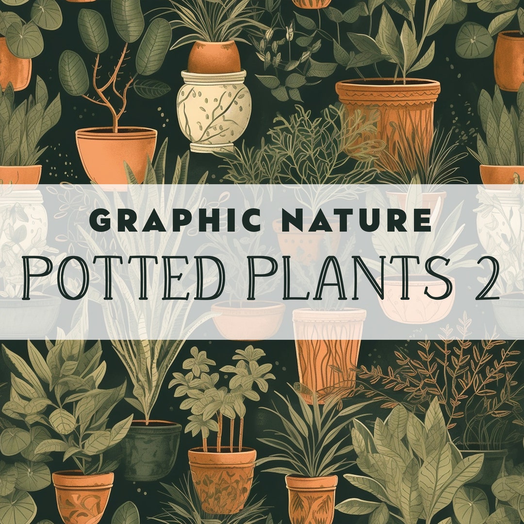 Illustrated Potted Plants Pattern - Etsy