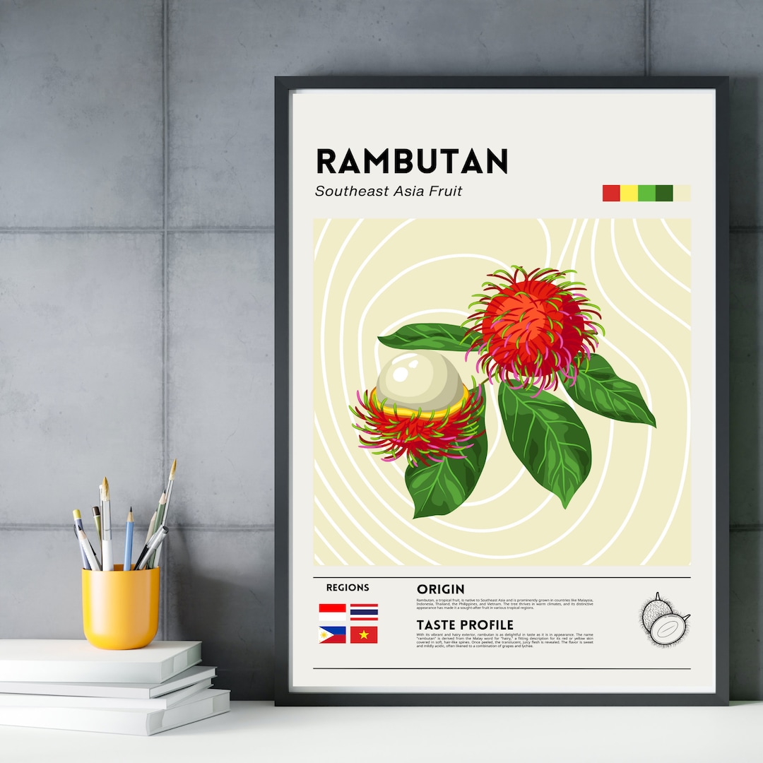 Rambutan Poster , Realistic Fruit Poster , Retro Fruit Poster , Digital ...