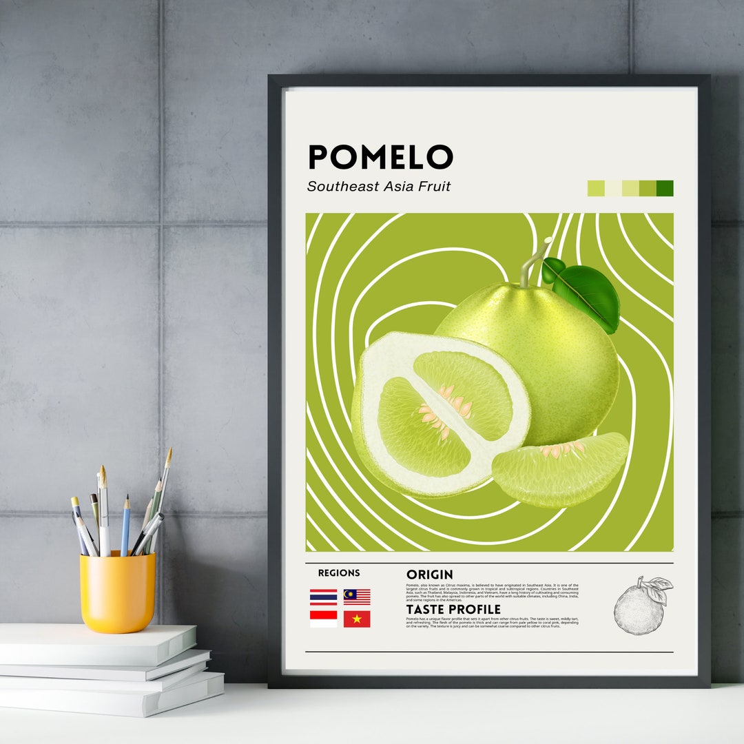 Pomelo Poster , Realistic Fruit Poster , Retro Fruit Poster , Digital ...