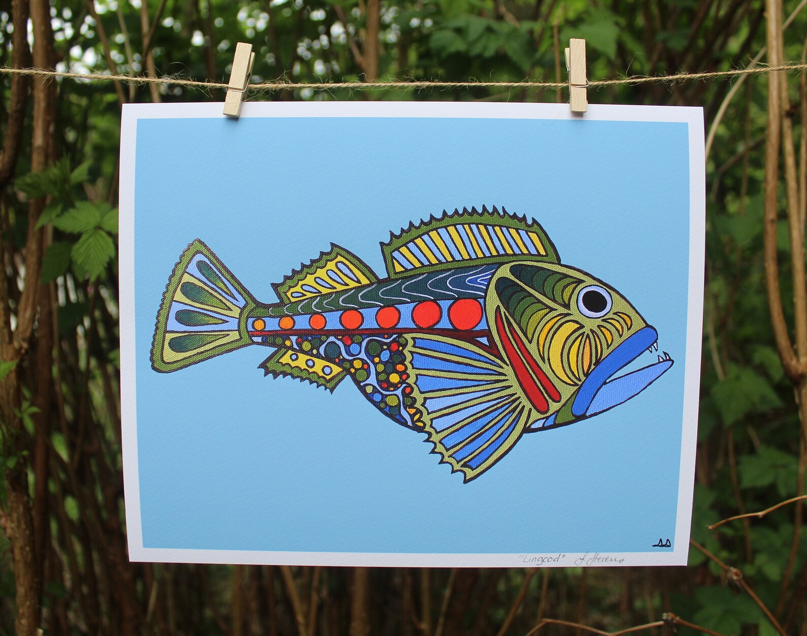 Lingcod Fine Art Print Giclee Print Wall Art - Etsy