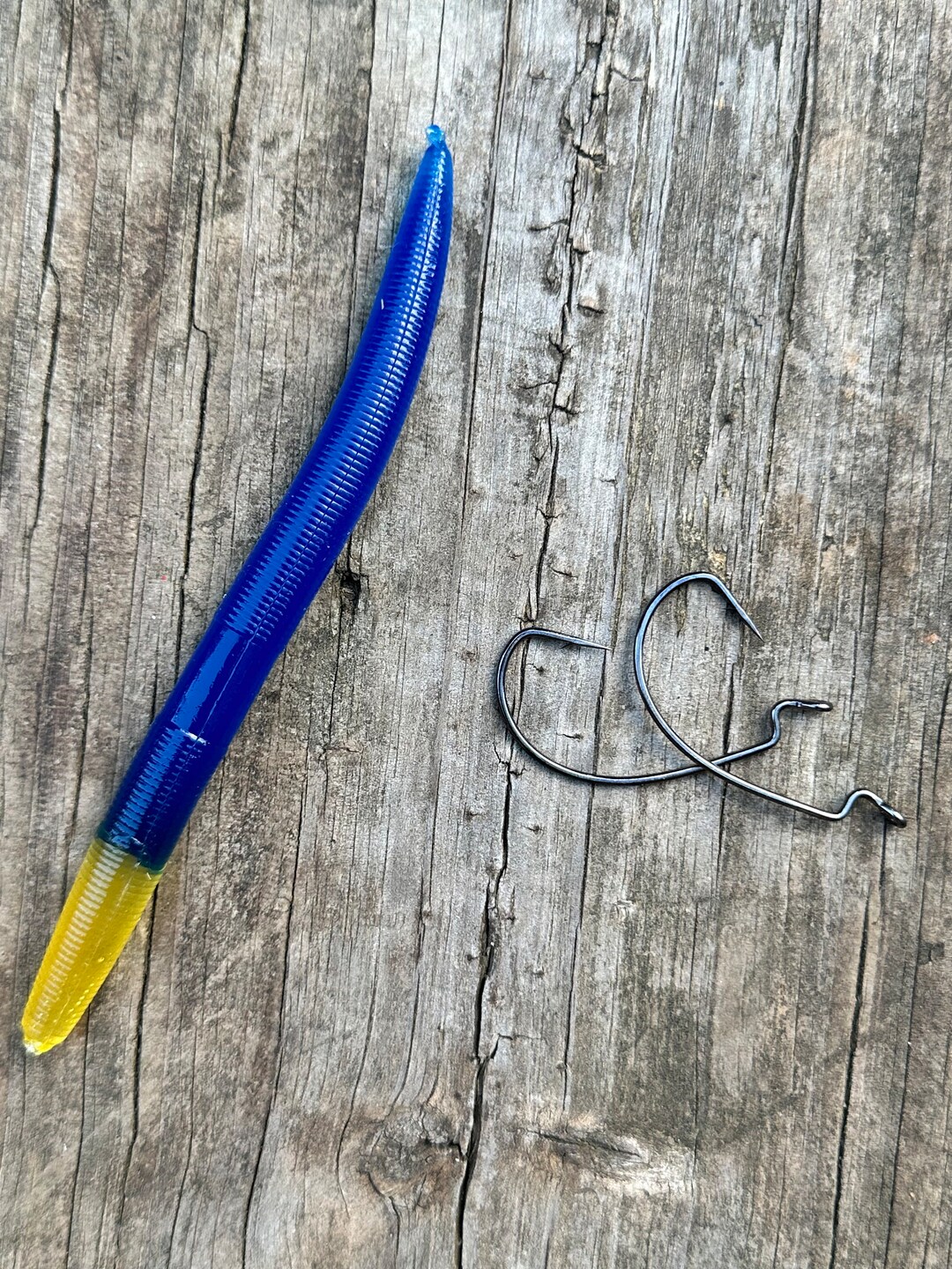 5 Worm Night Sky - Etsy