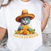 This Senorita Needs a Margarita Shirt, Happy Cinco De Mayo, Mexican ...