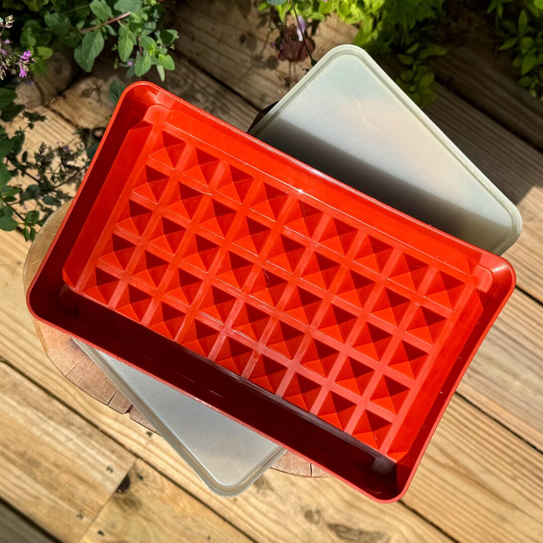 Vtg TUPPERWARE Paprika Red 1292-8 Bacon Keeper Meat Marinator ...