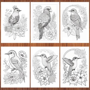 30 Flower Birds Coloring Pages Bundle Premium Digital Download PDF ...