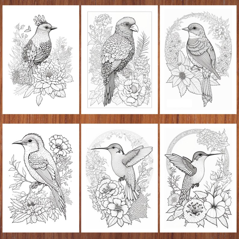 30 Flower Birds Coloring Pages Bundle Premium Digital - Etsy