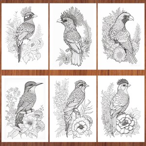 30 Flower Birds Coloring Pages Bundle Premium Digital Download PDF ...