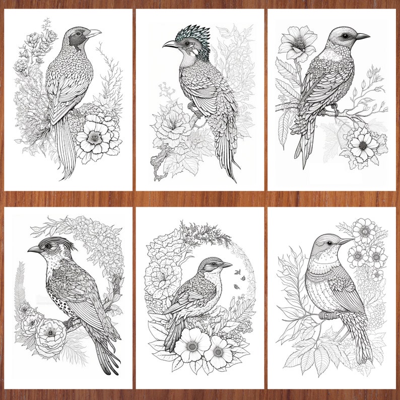 30 Flower Birds Coloring Pages Bundle Premium Digital - Etsy