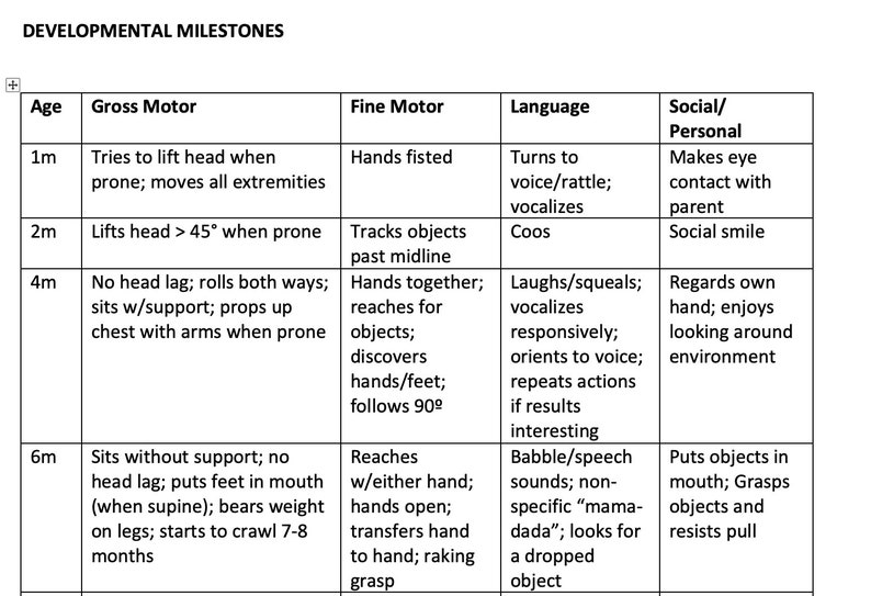 Developmental Milestones Cheat Sheet - Etsy