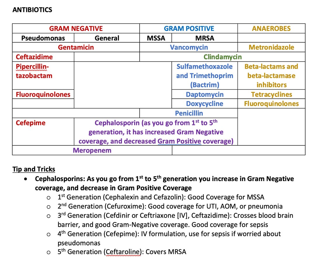 Antibiotic Cheat Sheet - Etsy