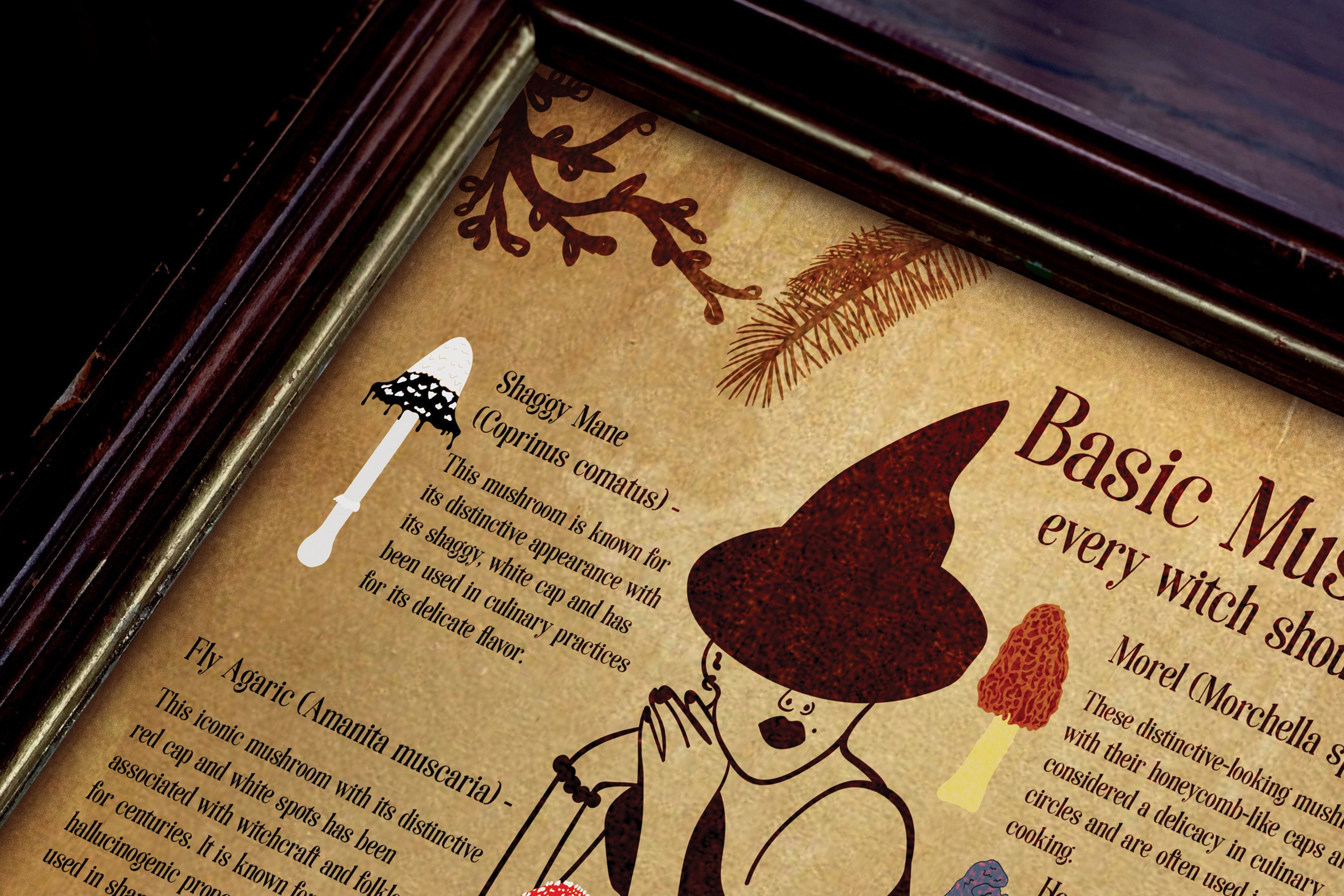 Basic Mushrooms Every Witch Should Know, Witch Poster, Art Print ...