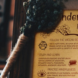 Wonderful Witch Rules, Rules of the Witch, Witch Rules, Witch Rules ...