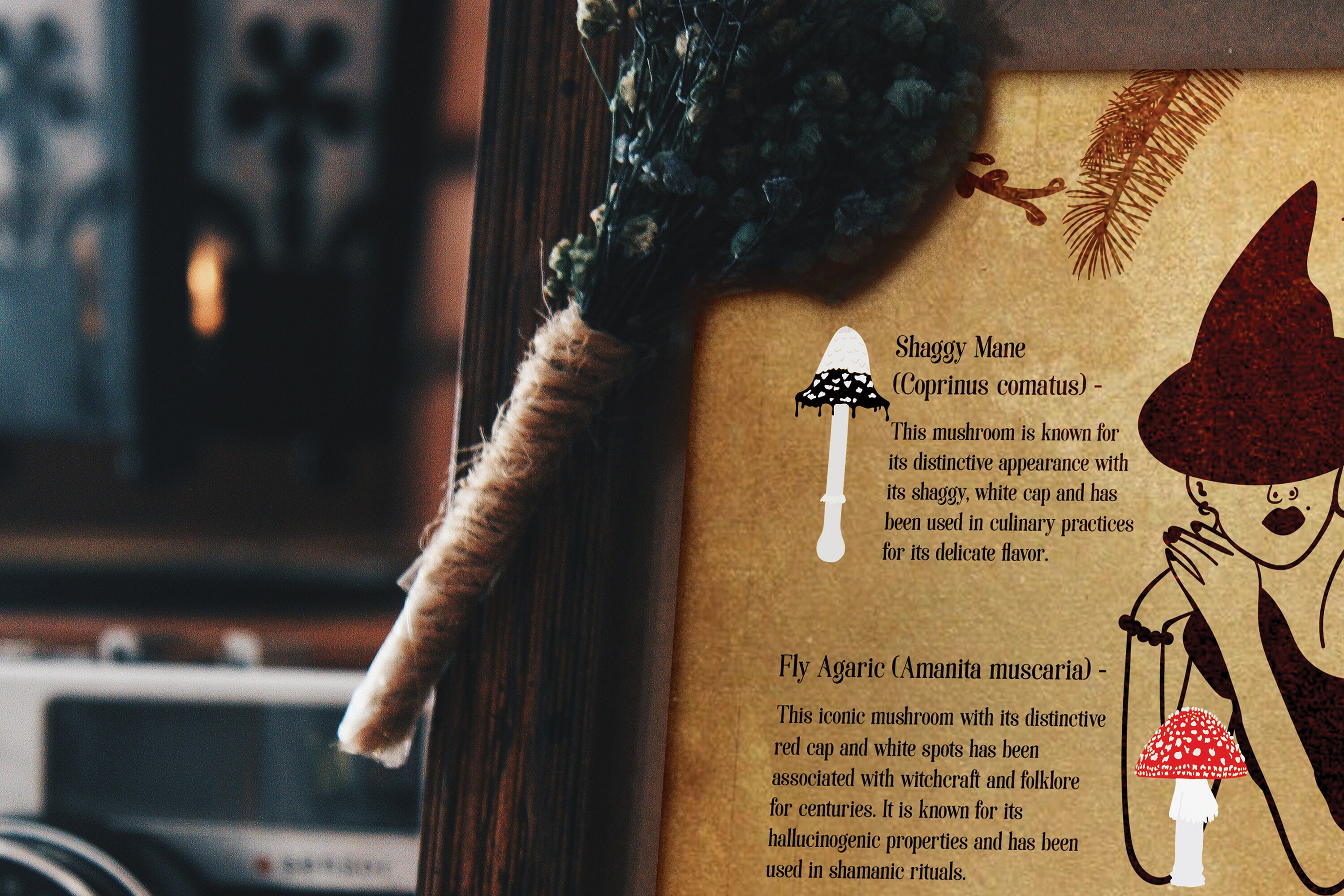 Basic Mushrooms Every Witch Should Know, Witch Poster, Art Print ...