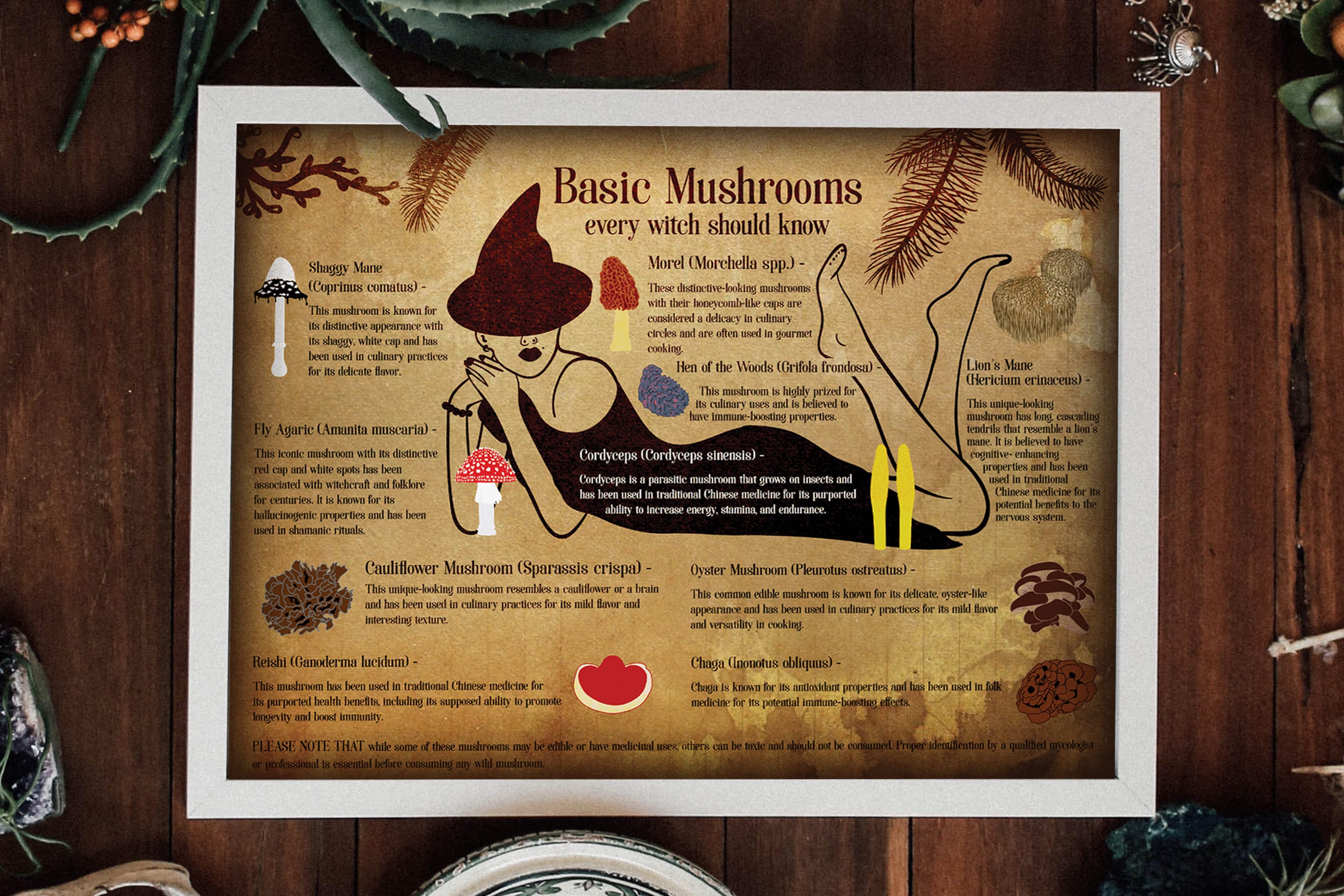 Basic Mushrooms Every Witch Should Know, Witch Poster, Art Print ...