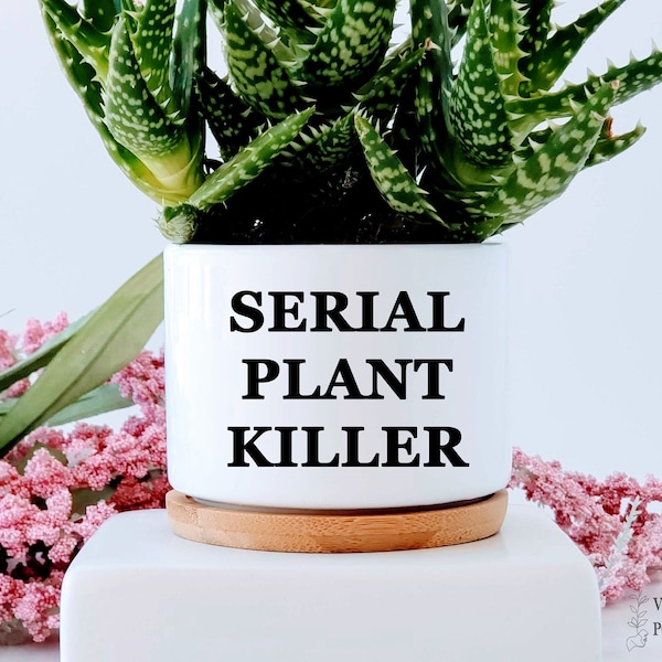 Plant Puns Pots - Etsy