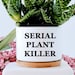Serial Plant Killer Succulent Planter Pot, Funny Plant Pot, GAG Gift ...