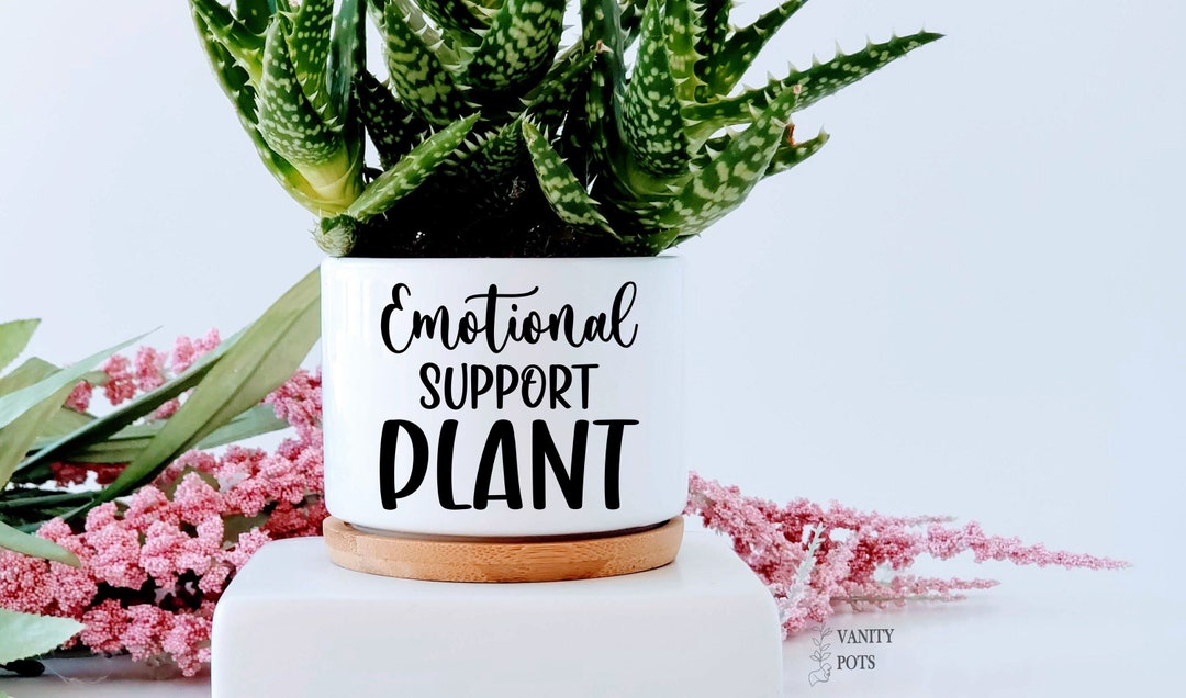 Emotional Support Plant Pot: Funny Succulent & Cactus Planter - Etsy