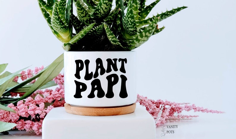 Plant Papi Succulent Planter Pot, Plant Dad, Funny Pot Gift for Dad ...