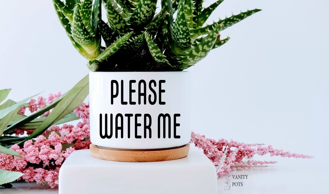 Please Water Me Succulent Plant Pot Gift, Funny Succulent Pot Gift ...