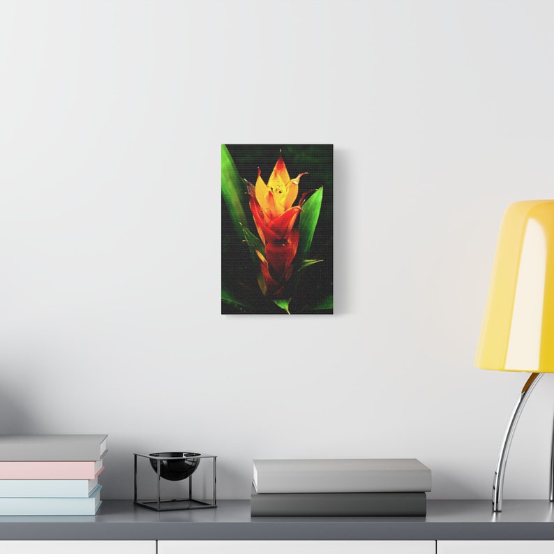 Classic Canvas - Etsy