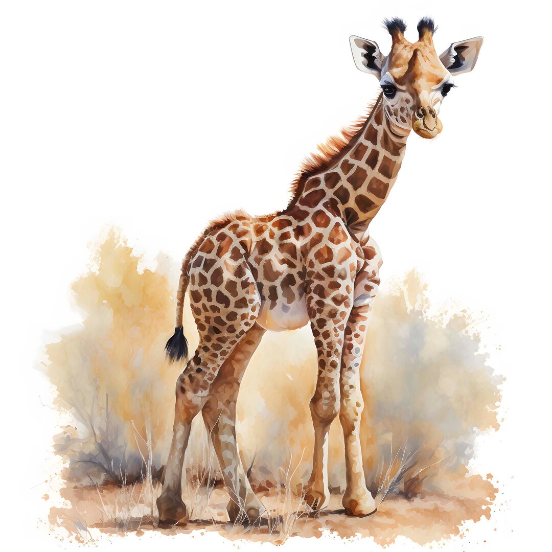 Baby Giraffe Digital File Nursery Baby Nursery Kids Room Animal Safari ...