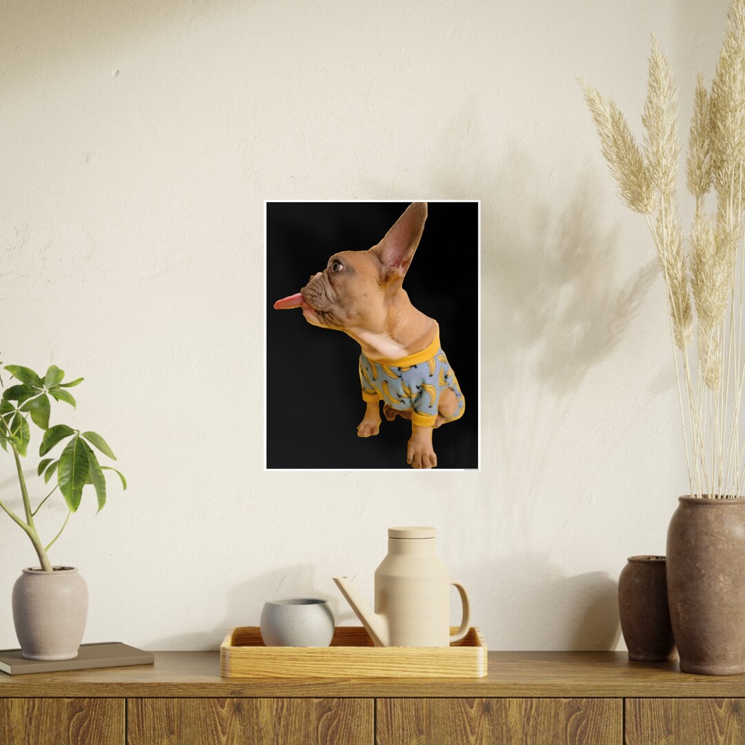Photo Art Paper Posters With Cheeky Pug - Etsy