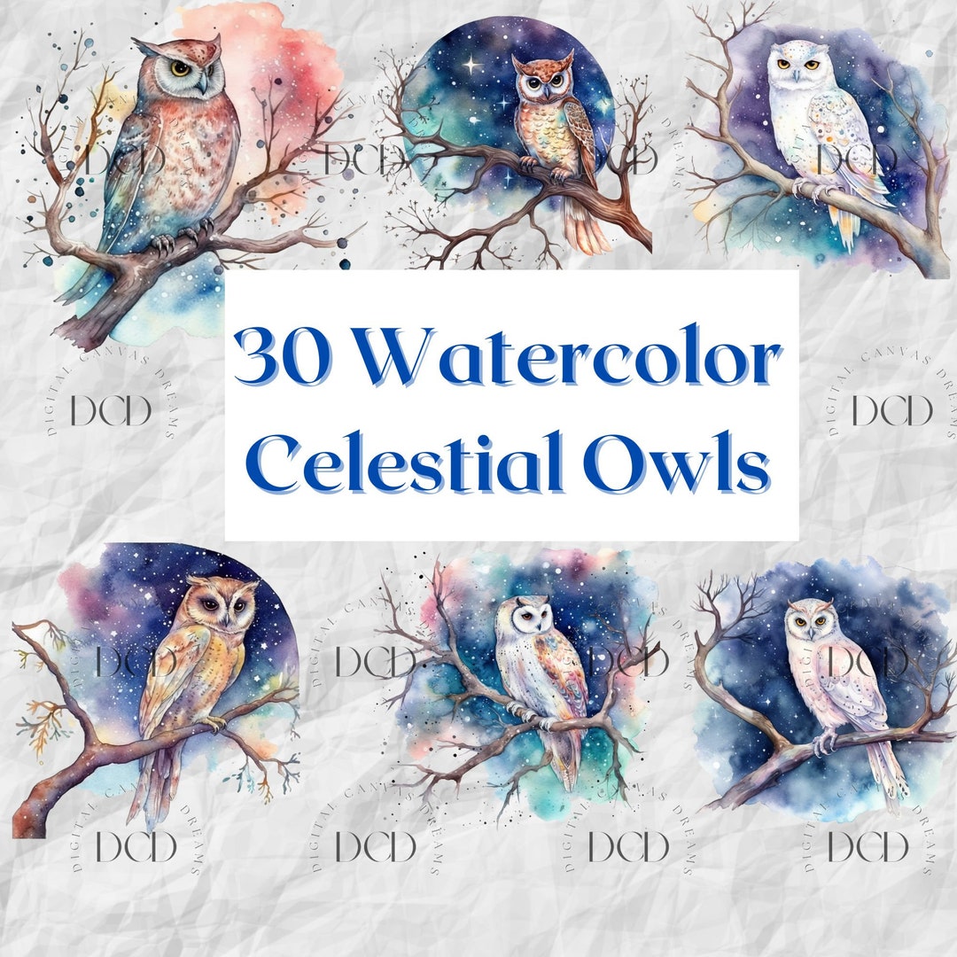 30 PNG Watercolor Celestial Owls Mega Pack Clipart - Fantasy Owl ...