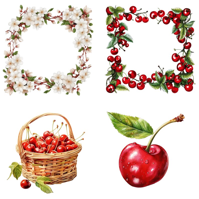 25 Juicy Cherry Theme Clipart With Transparent Background, Plus Free ...