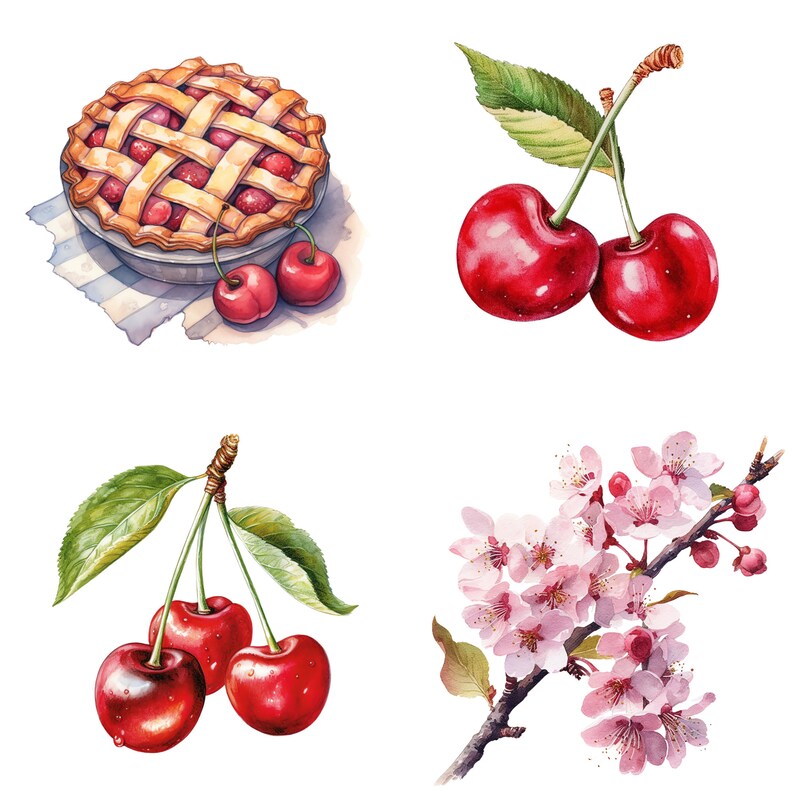 25 Juicy Cherry Theme Clipart With Transparent Background, Plus Free ...