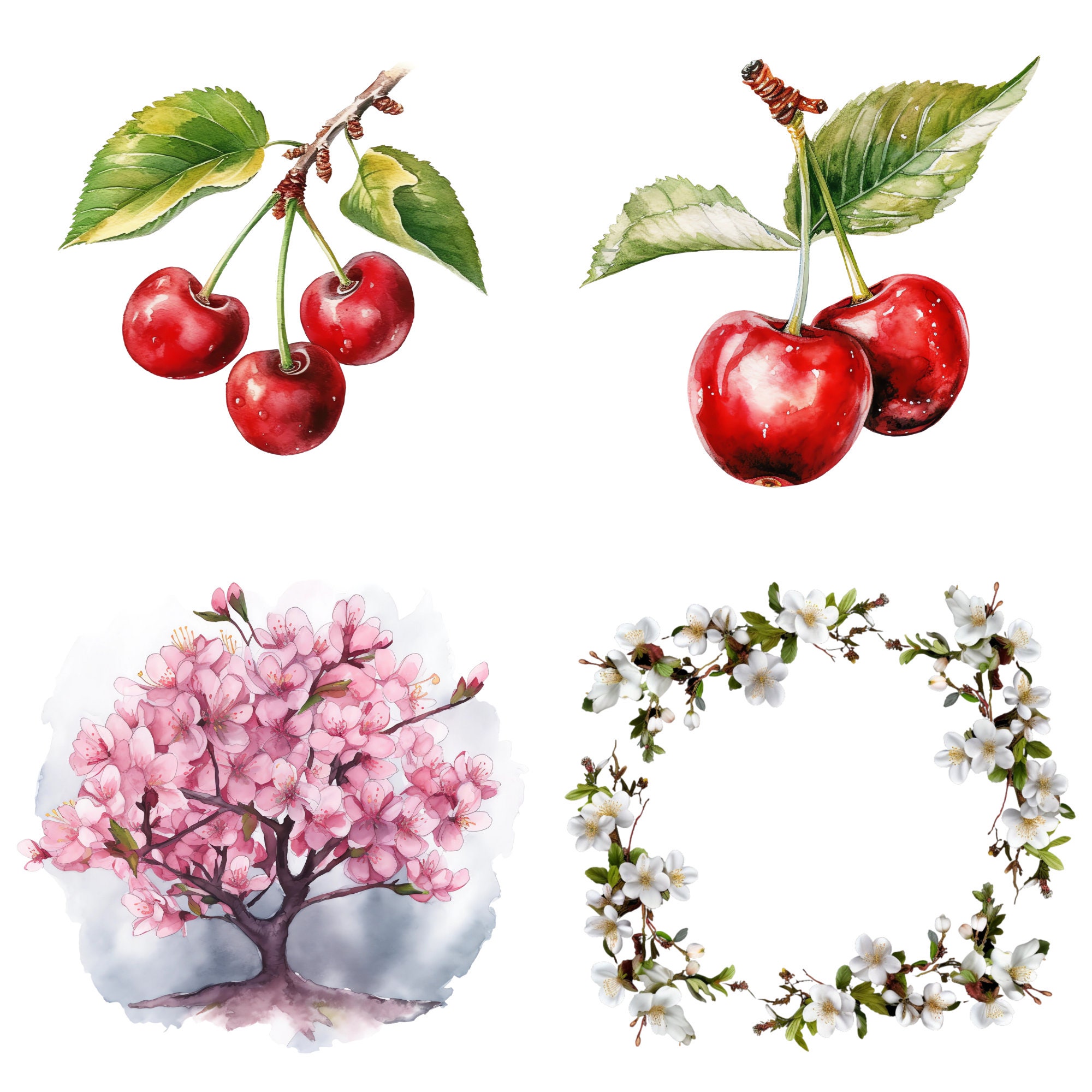 25 Juicy Cherry Theme Clipart With Transparent Background, Plus Free ...